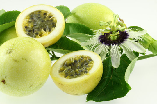 213 IMAGES, PHOTOS ET ILLUSTRATIONS VECTORIELLES STOCK APPROPRIÉES SUR ...