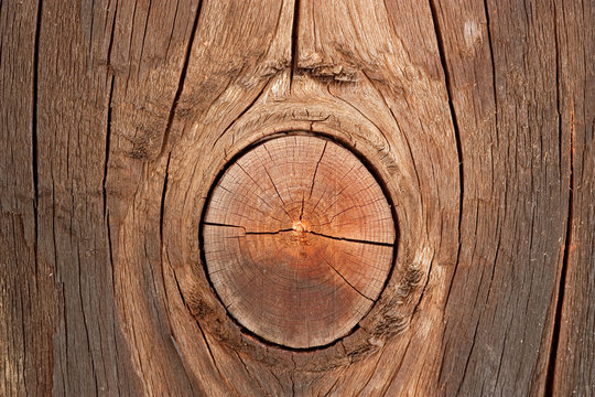 「Astloch」の画像 - 3,600 件の Stock 写真、ベクターおよびビデオ | Adobe Stock