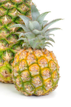 Mini-Ananas Bilder – Durchsuchen 27 Archivfotos, Vektorgrafiken und ...