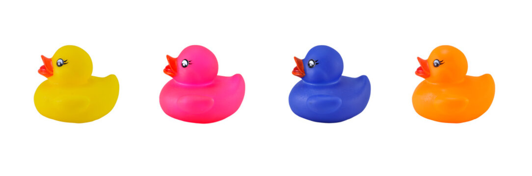 รูปภาพPatitos – เลือกดูภาพถ่ายสต็อก เวกเตอร์ และวิดีโอ495 | Adobe Stock