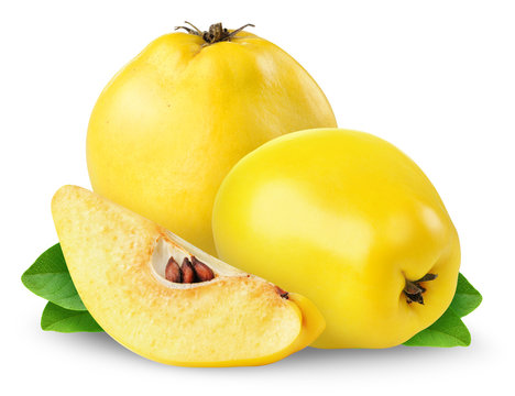 Quitten-Bilder: Stock-Fotos & -Videos. | Adobe Stock