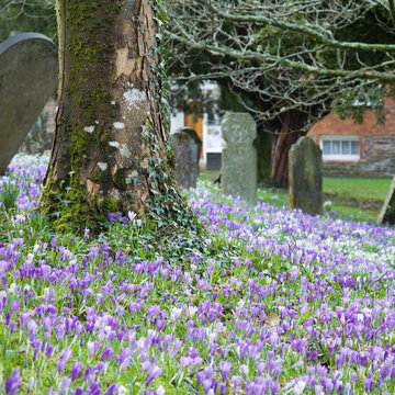 รูปภาพThombstone – เลือกดูภาพถ่ายสต็อก เวกเตอร์ และวิดีโอ289 | Adobe Stock