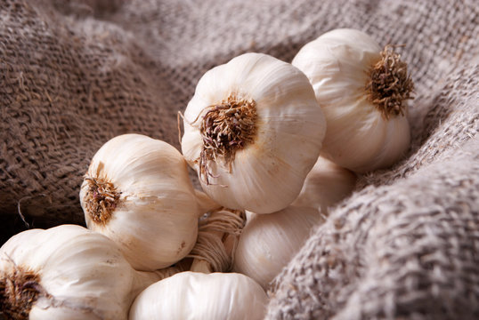 Galic Bilder – Durchsuchen 591 Archivfotos, Vektorgrafiken und Videos ...