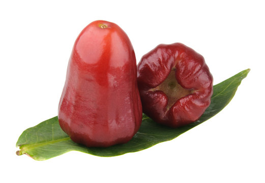 รูปภาพJamalac – เลือกดูภาพถ่ายสต็อก เวกเตอร์ และวิดีโอ2,352 | Adobe Stock