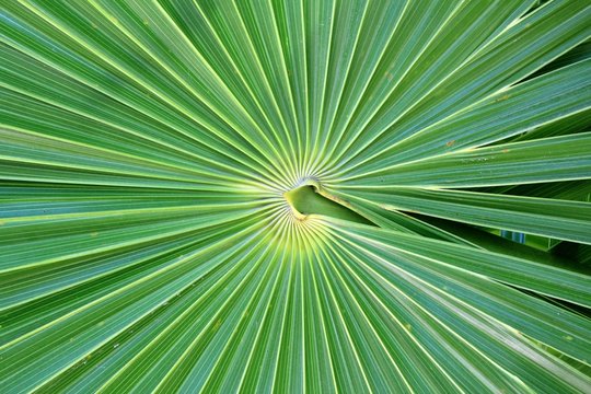 รูปภาพThrinax – เลือกดูภาพถ่ายสต็อก เวกเตอร์ และวิดีโอ87 | Adobe Stock