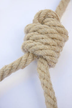 รูปภาพLynchage – เลือกดูภาพถ่ายสต็อก เวกเตอร์ และวิดีโอ14 | Adobe Stock