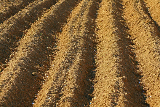 Ackerfurchen bilder – Bläddra bland 396 stockfoton, vektorer och videor ...