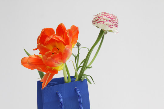 「Mitbringen」の写真素材 | 370件の無料イラスト画像 | Adobe Stock