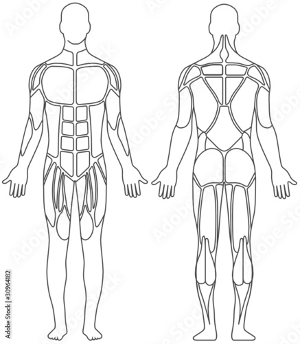 "human body" Stock image and royalty-free vector files on Fotolia.com ...
