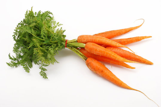 Carota Зображення — огляд 1,228,952 Стокові фото, векторні зображення й ...