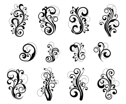 Curly Design