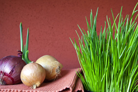 รูปภาพKeimend – เลือกดูภาพถ่ายสต็อก เวกเตอร์ และวิดีโอ138 | Adobe Stock