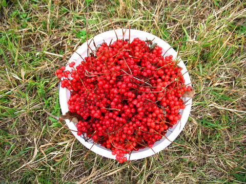 รูปภาพBreanch – เลือกดูภาพถ่ายสต็อก เวกเตอร์ และวิดีโอ80 | Adobe Stock