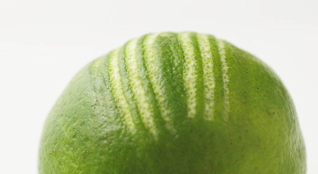 「Griffure」の写真素材 | 59件の無料イラスト画像 | Adobe Stock