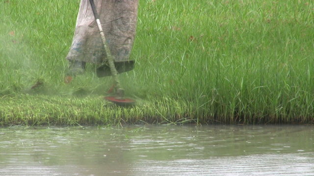 "Weed Eater"-Bilder: Stock-Fotos & -Videos. | Adobe Stock