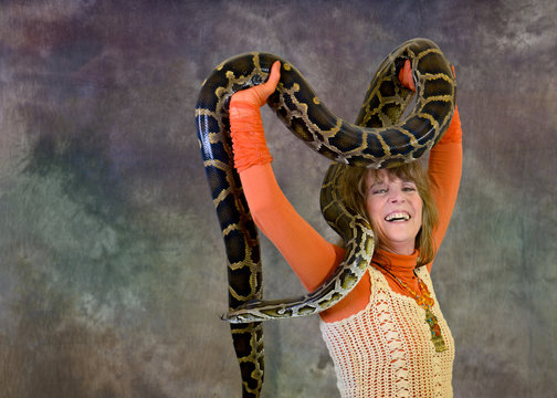 Tigerpython bilder – Bläddra bland 124 stockfoton, vektorer och videor ...