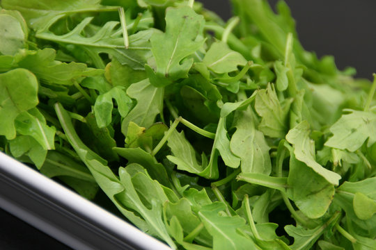 รูปภาพRokola – เลือกดูภาพถ่ายสต็อก เวกเตอร์ และวิดีโอ52 | Adobe Stock