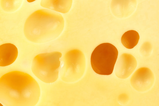 รูปภาพMaasdamer – เลือกดูภาพถ่ายสต็อก เวกเตอร์ และวิดีโอ2,720 | Adobe Stock