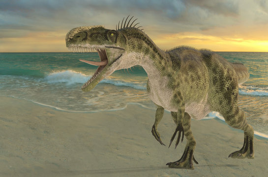 รูปภาพTetanuran – เลือกดูภาพถ่ายสต็อก เวกเตอร์ และวิดีโอ86 | Adobe Stock