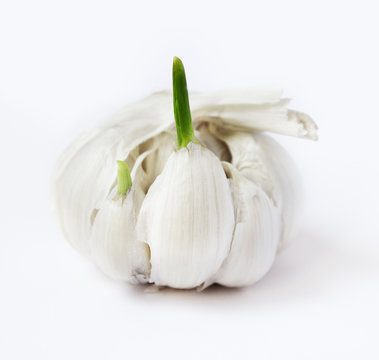 รูปภาพKeimend – เลือกดูภาพถ่ายสต็อก เวกเตอร์ และวิดีโอ117 | Adobe Stock