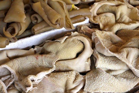 Pansen Images – Browse 90 Stock Photos, Vectors, and Video | Adobe Stock