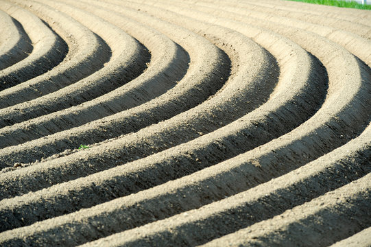 Ackerfurchen bilder – Bläddra bland 396 stockfoton, vektorer och videor ...