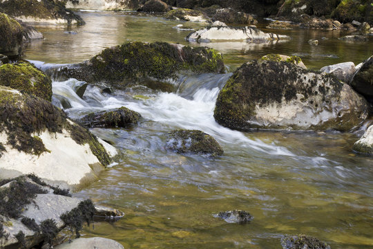 Foreat Images – Browse 445 Stock Photos, Vectors, and Video | Adobe Stock