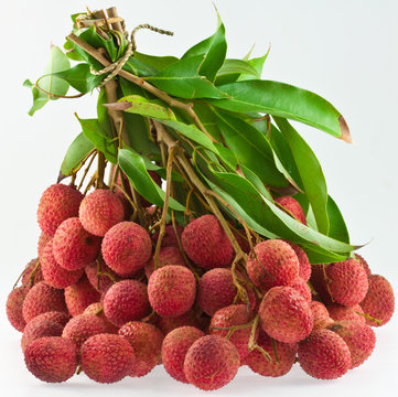 Letchee - Images et vidéos libres de droits | Adobe Stock