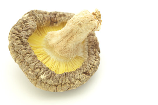 干ししいたけ Images – Browse 571 Stock Photos, Vectors, and Video | Adobe Stock