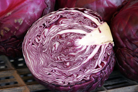 รูปภาพKopfkohl – เลือกดูภาพถ่ายสต็อก เวกเตอร์ และวิดีโอ201 | Adobe Stock