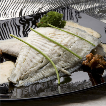 Rodaballo Images – Browse 90 Stock Photos, Vectors, and Video | Adobe Stock