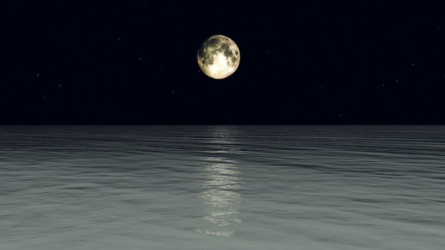 รูปภาพMoonlit – เลือกดูภาพถ่ายสต็อก เวกเตอร์ และวิดีโอ13,109 | Adobe Stock