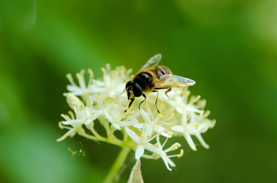 รูปภาพButineur – เลือกดูภาพถ่ายสต็อก เวกเตอร์ และวิดีโอ651 | Adobe Stock