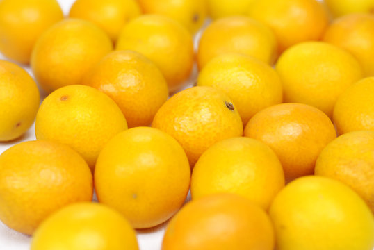 Laranjas Images – Browse 536 Stock Photos, Vectors, and Video | Adobe Stock