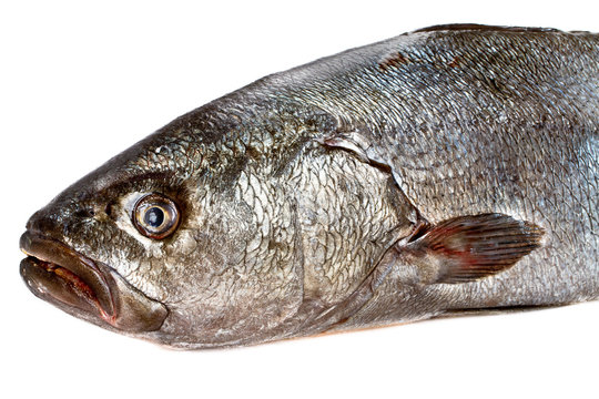 Merluchon Images – Browse 58 Stock Photos, Vectors, and Video | Adobe Stock