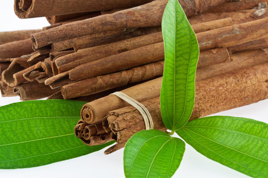 รูปภาพCannelier – เลือกดูภาพถ่ายสต็อก เวกเตอร์ และวิดีโอ128 | Adobe Stock