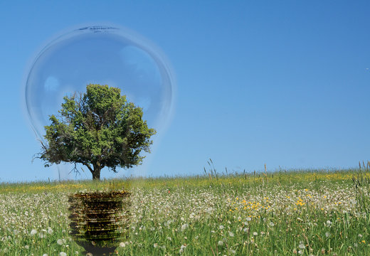 Biostrom bilder – Bläddra bland 1,146 stockfoton, vektorer och videor ...