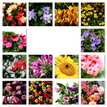 รูปภาพBlumenbilder – เลือกดูภาพถ่ายสต็อก เวกเตอร์ และวิดีโอ92 | Adobe Stock