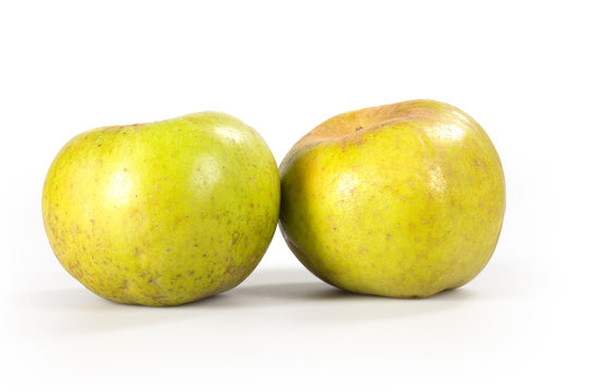 Renette 이미지 – 찾아보기 222 스톡 사진, 벡터 및 비디오 | Adobe Stock