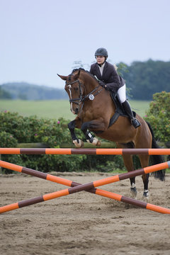 Springpferde Bilder – Durchsuchen 981 Archivfotos, Vektorgrafiken und ...