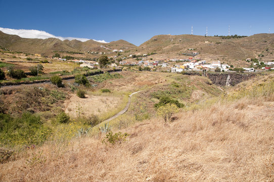 Infecundo bilder – Bläddra bland 30 stockfoton, vektorer och videor ...