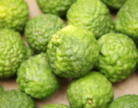 รูปภาพZitronatzitrone – เลือกดูภาพถ่ายสต็อก เวกเตอร์ และวิดีโอ114 ...