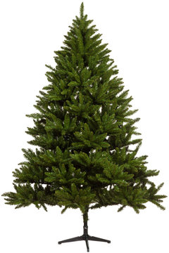 Imágenes de Tannenbaum: descubre bancos de fotos, ilustraciones ...