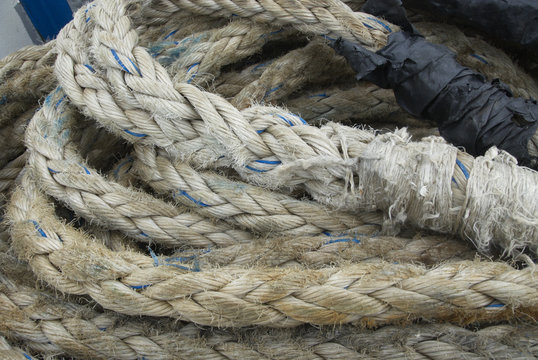 รูปภาพGomena – เลือกดูภาพถ่ายสต็อก เวกเตอร์ และวิดีโอ103 | Adobe Stock