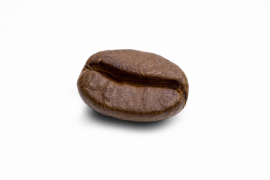 Kaffeebohne Imagens – Procure 7,942 fotos, vetores e vídeos | Adobe Stock