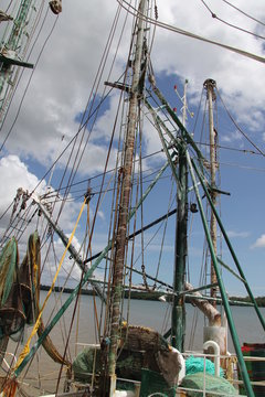 「Crevettier」の画像 - 83 件の Stock 写真、ベクターおよびビデオ | Adobe Stock