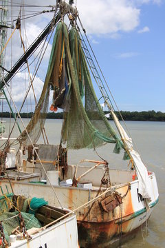 「Crevettier」の画像 - 83 件の Stock 写真、ベクターおよびビデオ | Adobe Stock