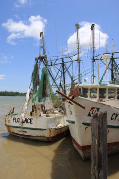 「Crevettier」の画像 - 83 件の Stock 写真、ベクターおよびビデオ | Adobe Stock