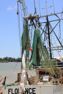 「Crevettier」の画像 - 83 件の Stock 写真、ベクターおよびビデオ | Adobe Stock