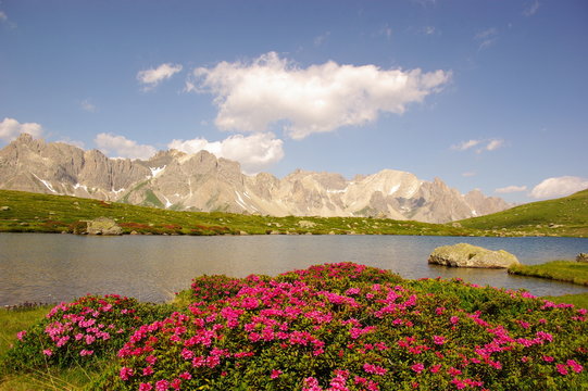 Laramon Images – Browse 19 Stock Photos, Vectors, and Video | Adobe Stock